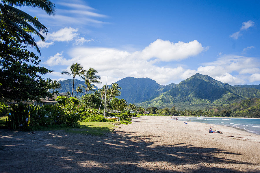 tropical haven to suburban hellscape : r/UrbanHell