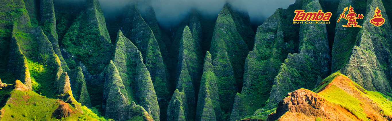 Tamba Surf Company Kauai